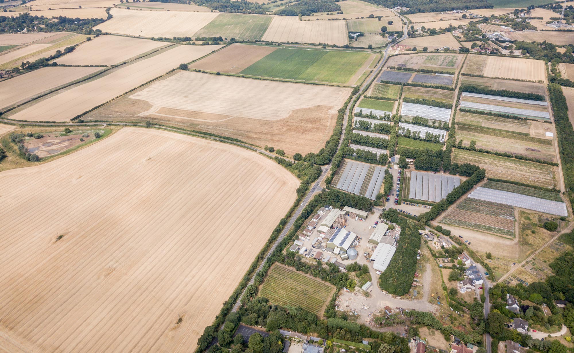 Notes from the Farm - January - Rectory Farm