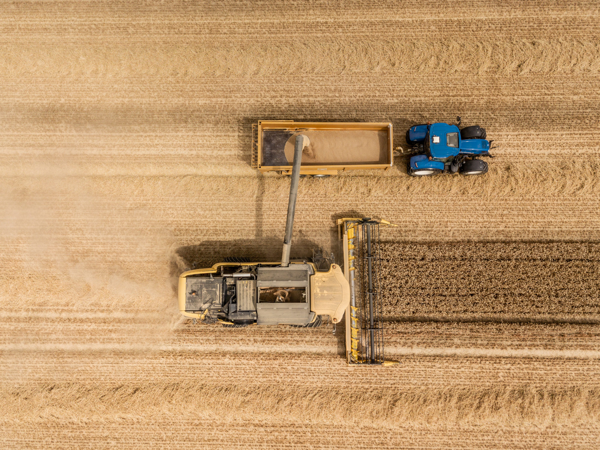 FUNDRAISING FOR RABI CHARITY - Rectory Farm